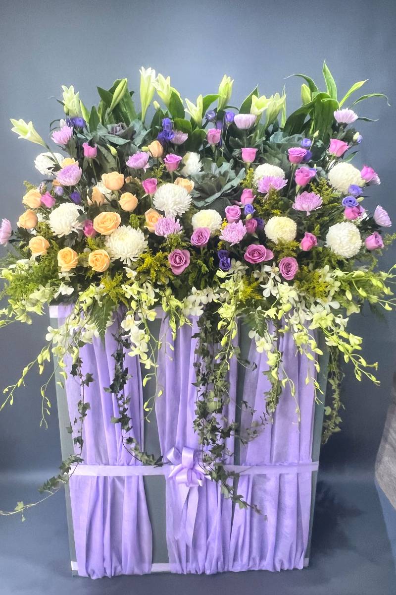 Celestial Circle | HiBye