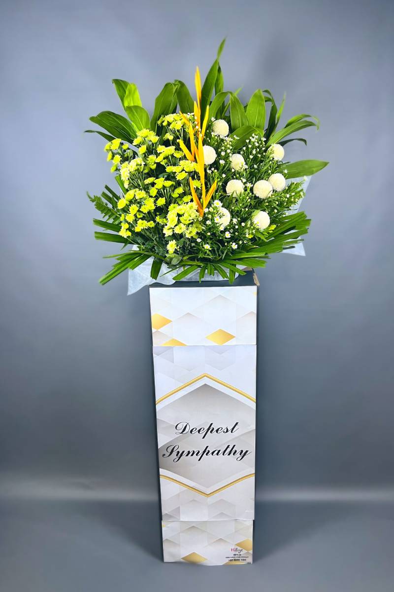 Eternal Elegance | HiBye