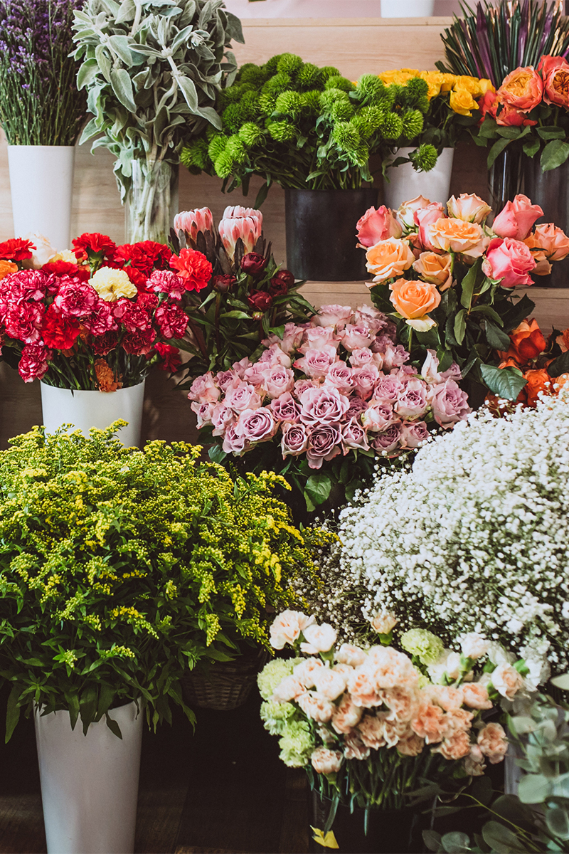 Official Opening Stand (FREE DESIGN) | HiBye