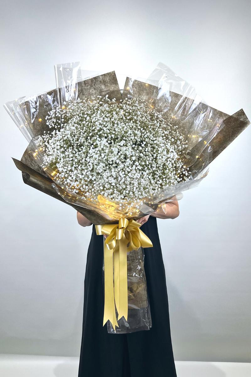 Maiden's Breath | HiBye